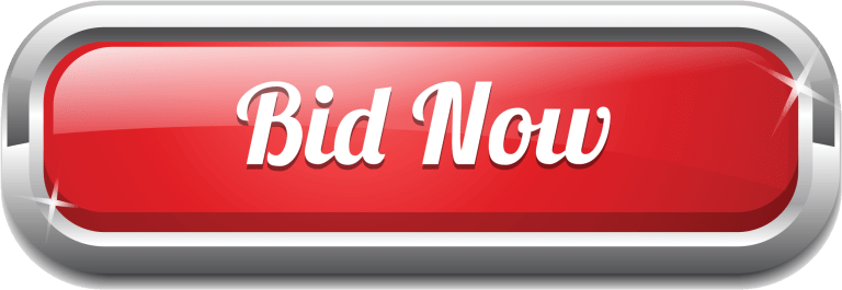 Hayes Brothers Auction